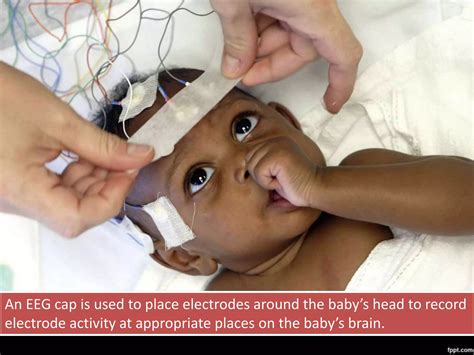 Image result for Perceptual Development Definition