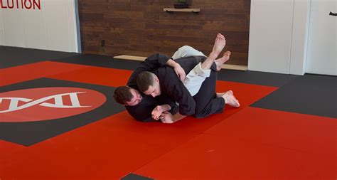 Image result for Jujitsu Python