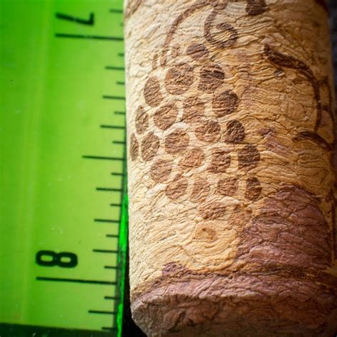 Image result for Using Macro Extension Tubes