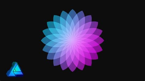 Image result for Affinity Designer Flower