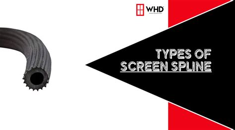 Image result for Screen Spline Types