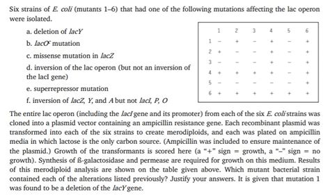 Image result for Lac Operon Mutations