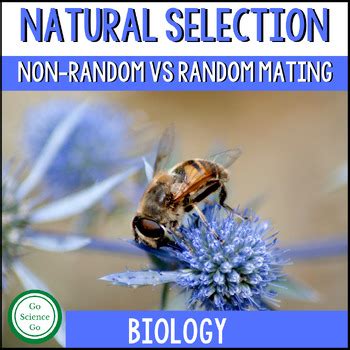 Image result for Random Selection Biology