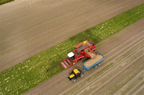Image result for Sugar Beet Containers