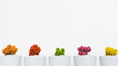 Image result for Using Color to Apply Mood