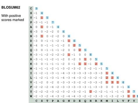 Image result for Simple Alignment Sequence