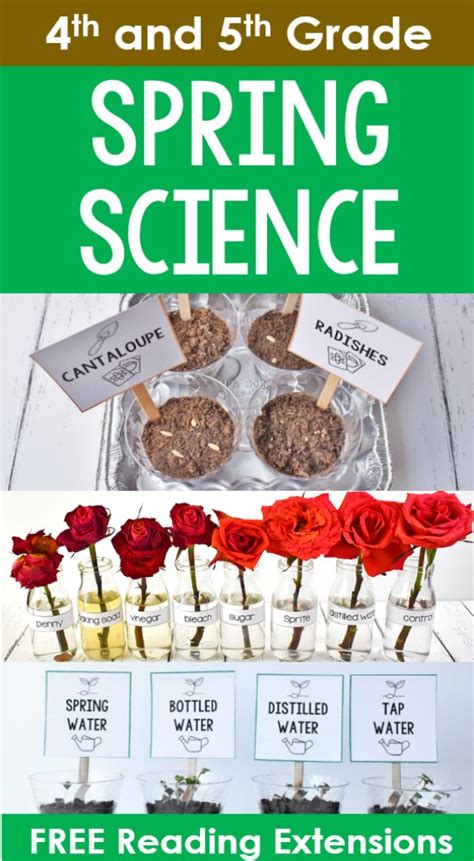 Image result for Spring Experiment