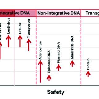 Image result for Reprogramming Diagram