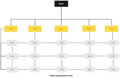 Image result for Team Structure Examples