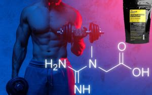 Image result for Instantized Creatine