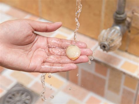 Image result for How to Clean Scallops