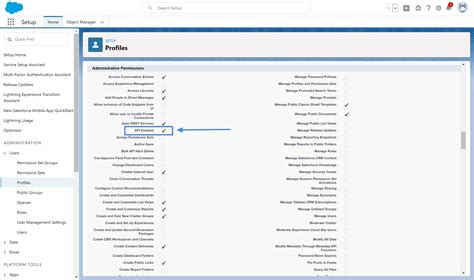Image result for Salesforce API Management
