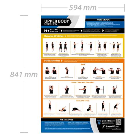 Image result for Dynamic Stretching Chart