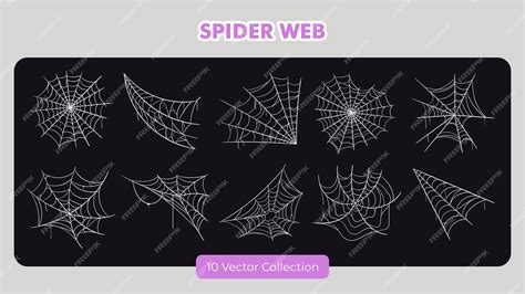 Image result for Spider Web Vector