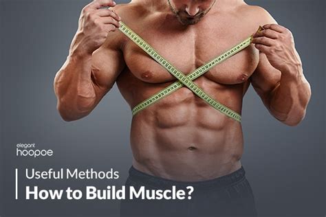Image result for How to Build Muscle