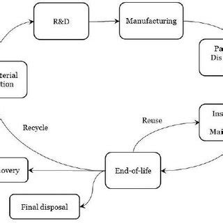 Image result for Example of a Life Cycle