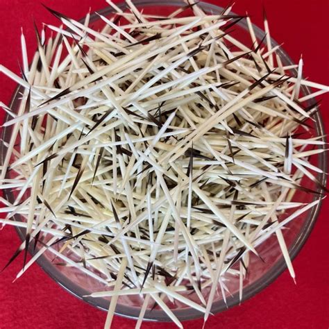 Image result for Using Porky Quills