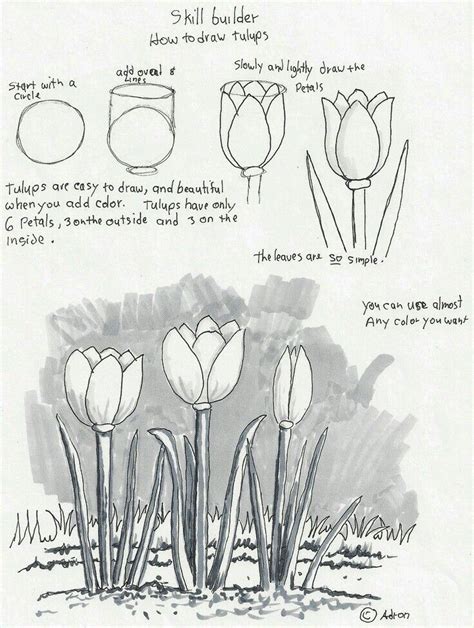 Image result for Drawing Tutorials for Beginners