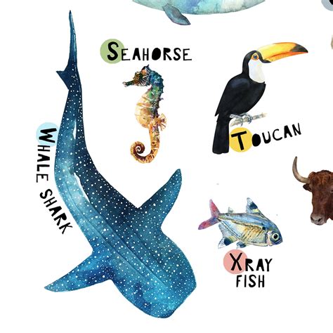 Image result for ABC Animal Alphabet