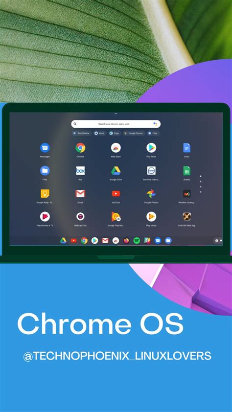 Image result for Most Beautiful Linux Distro 2021