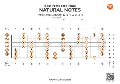 Image result for Notes On a 5 String Bass