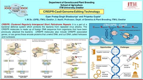 Image result for Crisper Editing Technology