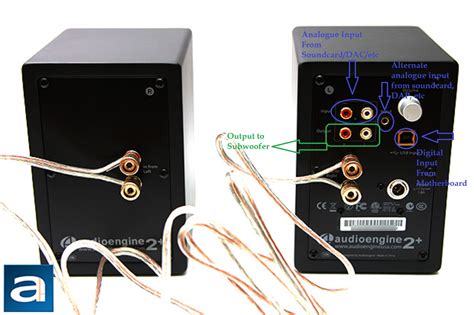 Image result for Audioengine Subwoofer Connection
