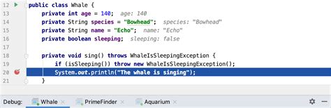 Image result for Add Debug Point in IntelliJ