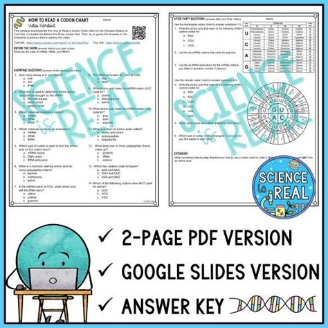 Image result for How to Use a Codon Chart Biology