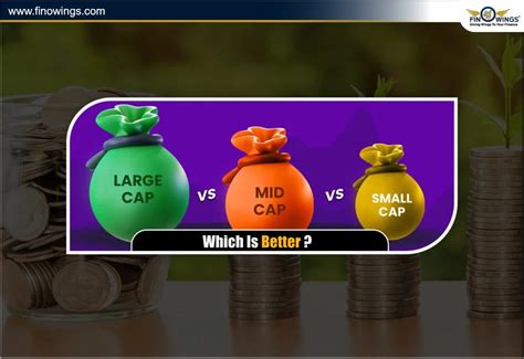 Image result for What Is Large Cap Mid Cap Small Cap