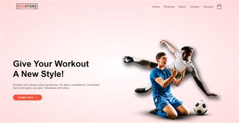 Image result for E-Commerce Website Source Code HTML CSS and JS