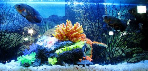 Image result for Water Column Example