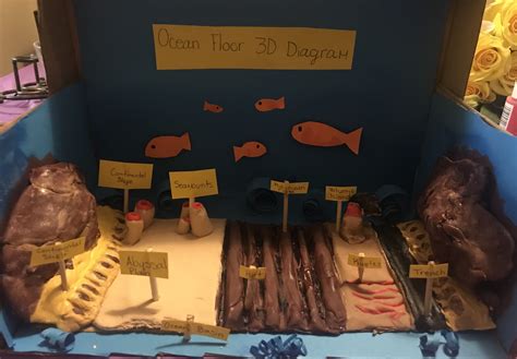 Ocean Floor Project Ideas at Alex Mckean blog