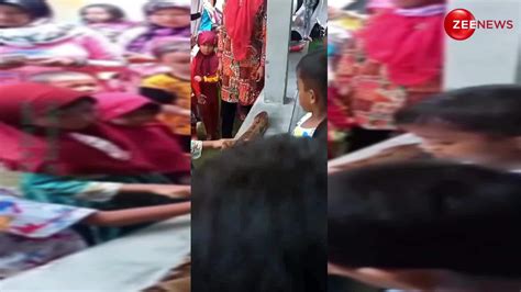 Image result for Python Attack Und Kids