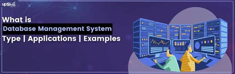 Image result for Examples of Database Management System