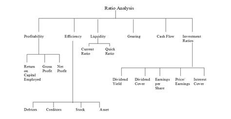 Image result for Financial Ratios Examples