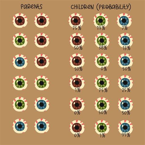 Image result for Eye Color Inheritance Pattern