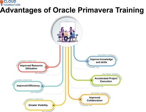 Image result for Primavera Training