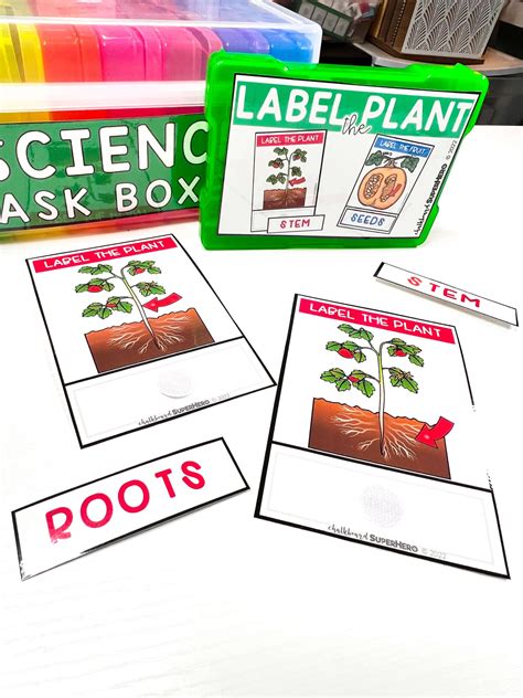Image result for 3rd Grade Science Task Boxes