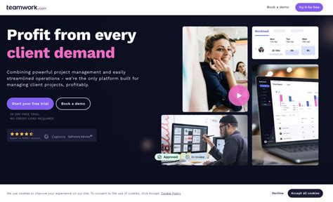 Image result for Freelance Project Management Software