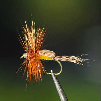 Image result for Dry-Fly Attractor Patterns