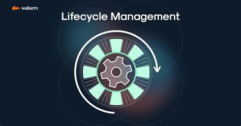 Image result for Lifecycle Management Process