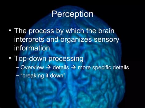Image result for Brain Lecture