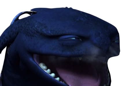 Image result for Toothless Mate