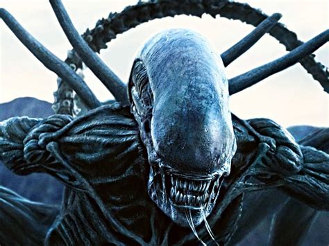 Image result for Alien Total En Español