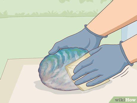 Image result for How to Polish Paua Shells