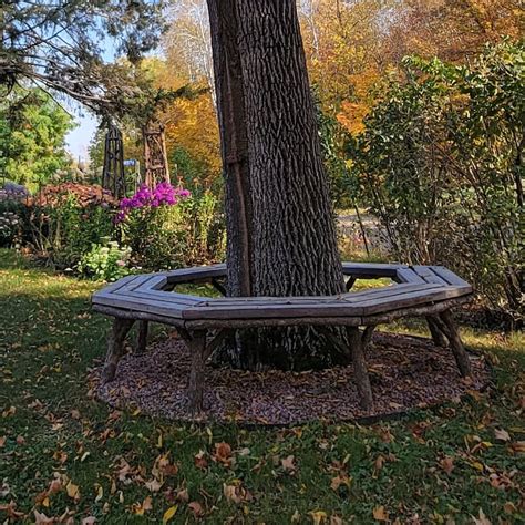 Image result for Tree Bench