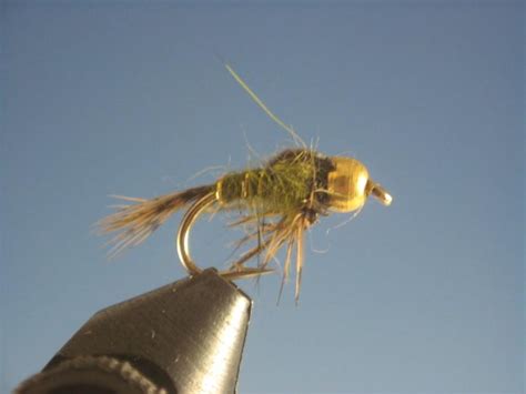 Image result for Green Drake Nymph Patterns