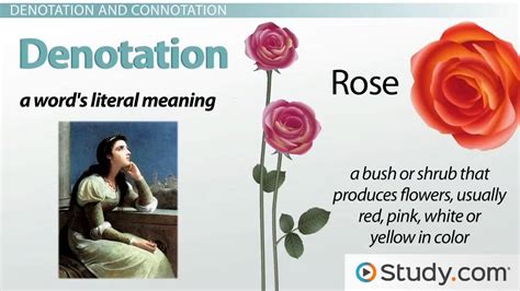 Image result for Connotation Dictionary