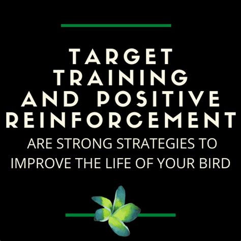 Image result for Target Management Training Program